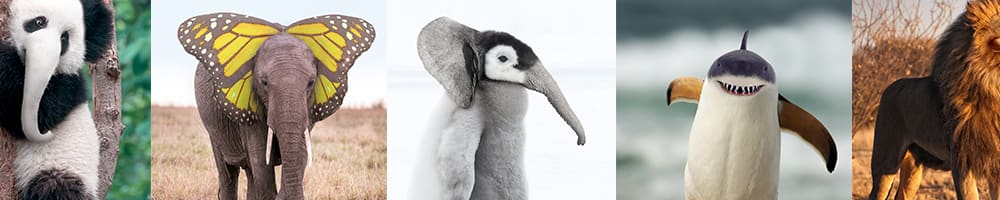 CryptoZoo Base Animal NFTs on Rarible: Buy, Sell and Trade